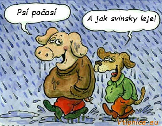 Vtipné obrázky – kreslené s textem | Vtipnice.eu - Part 48