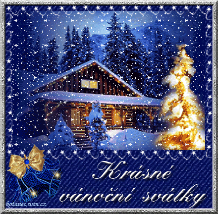 Krásné vánoční svátky - Vtipnice.eu