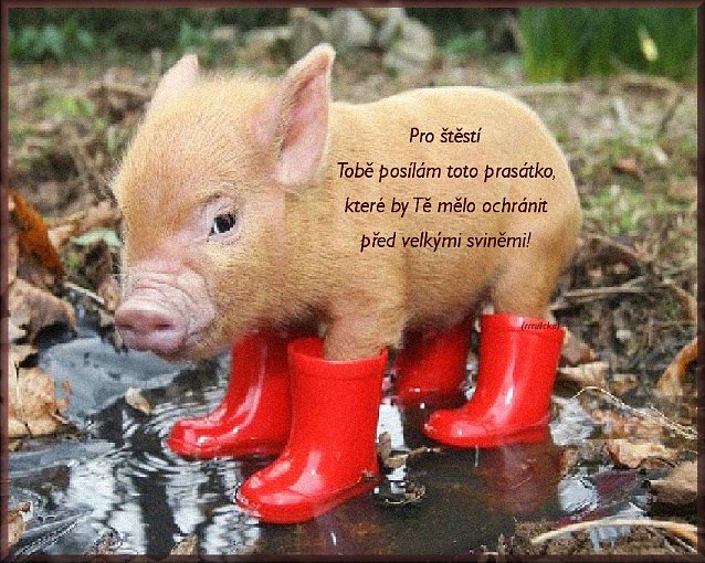 Pro štěstí - Vtipnice.eu