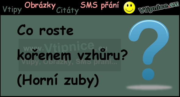 Vtipy – hádanky | Vtipnice.eu